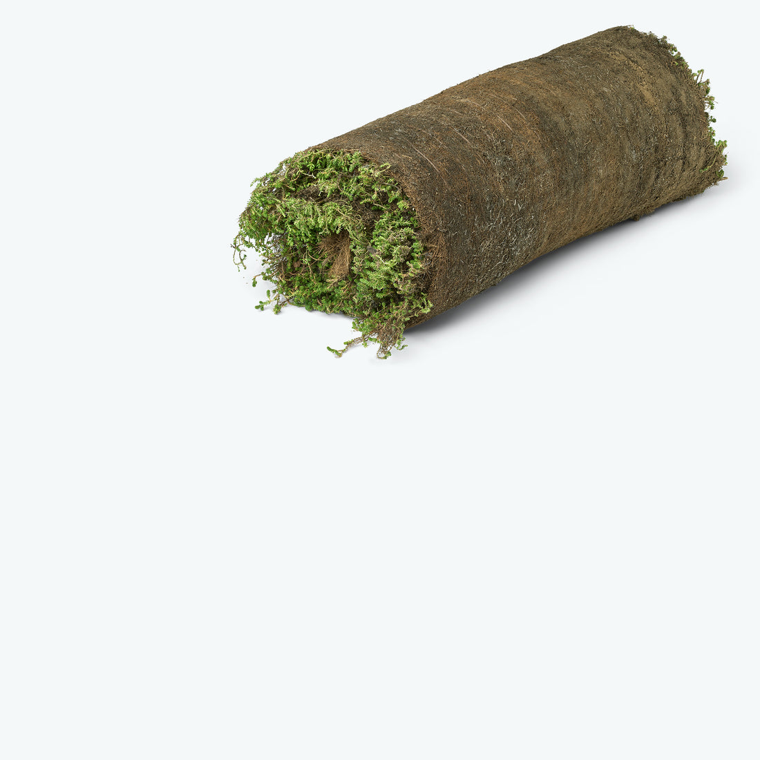 Sök – growtekdk.dk